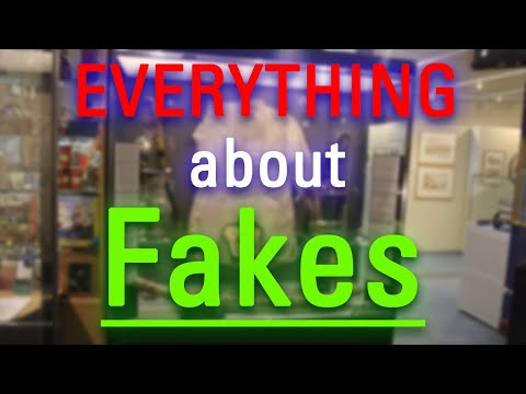 What are Fakes? | How to Say Fakes in English? | How Do Fakes Look?