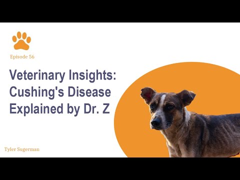 Unveiling Cushings Disease: Symptoms and Treatment Explained