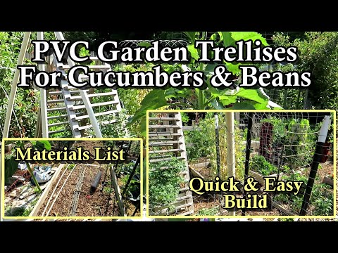 How to Make a Cucumber & Bean Trellis for Your Garden: Easy & Quick Build, Mobile, and Inexpensive