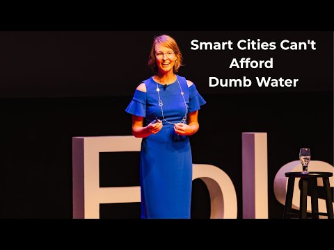 Smart Cities with Dumb Water – Greg Reyneke