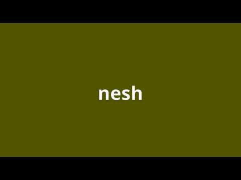 what is the meaning of nesh