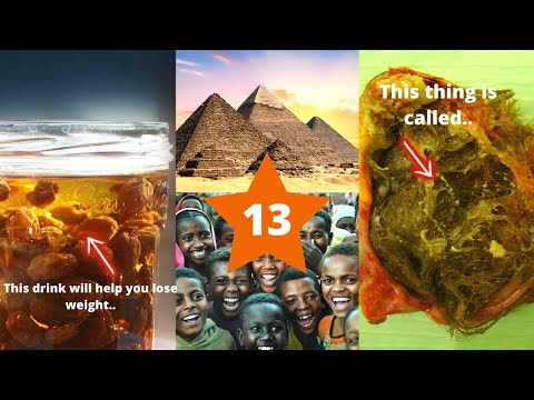 1000 Random Facts About Everything Part 13 l Did you know?
