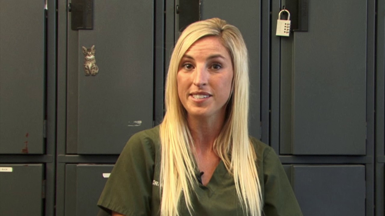 Veterinary Passion: Constantly Learning