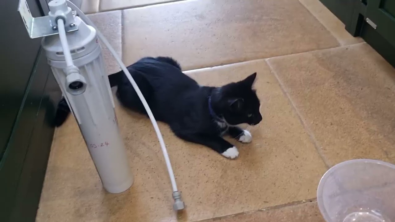 Installing a Quooker Scale Control R