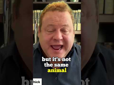 What is a land trust?