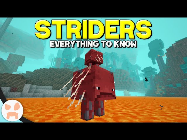 Top 3 uses of Striders in Minecraft