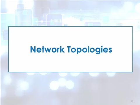 Topic 4 Section 3 Network topologies and network types