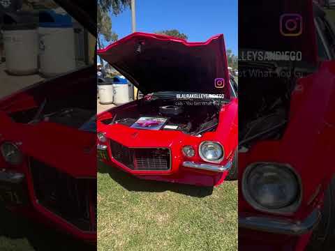 The Greatest Car Show on Turf @ The 34th Annual Clairemont Family Day. #carshow