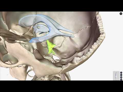 An Overview of the Ventricular System of Brain