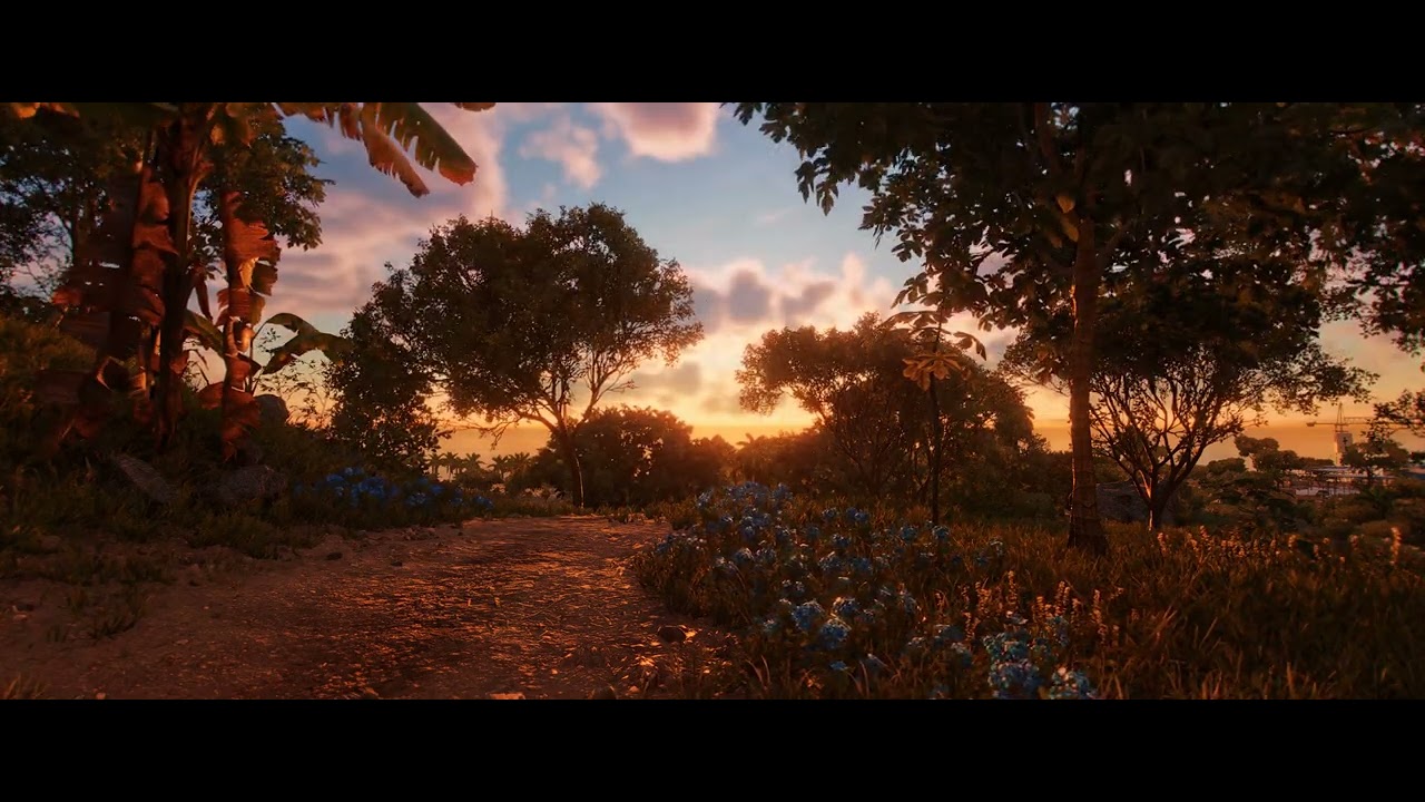 Video wallpaper | Far Cry 6 | Forest at the break of day