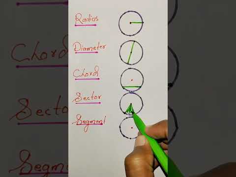 circle|radius|diameter|chord|sector|segment #short #circle #diameter #math #viral #foryoupage