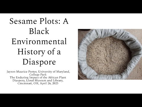 Sesame Plots: A Black Environmental History of a Diaspore