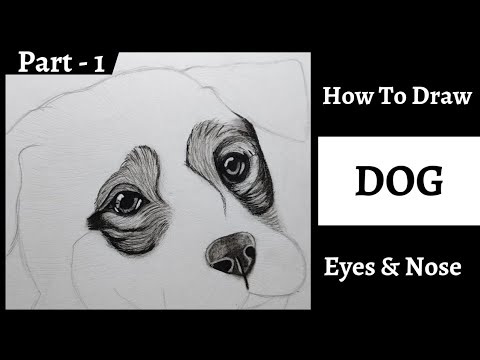 How To Draw Realistic Dog Part-1 Eyes & Nose Tutorial