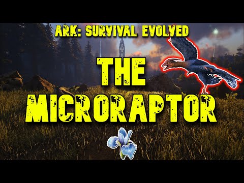 Steam Community :: Video :: Ark: Survival Evolved. Taming the Microraptor!