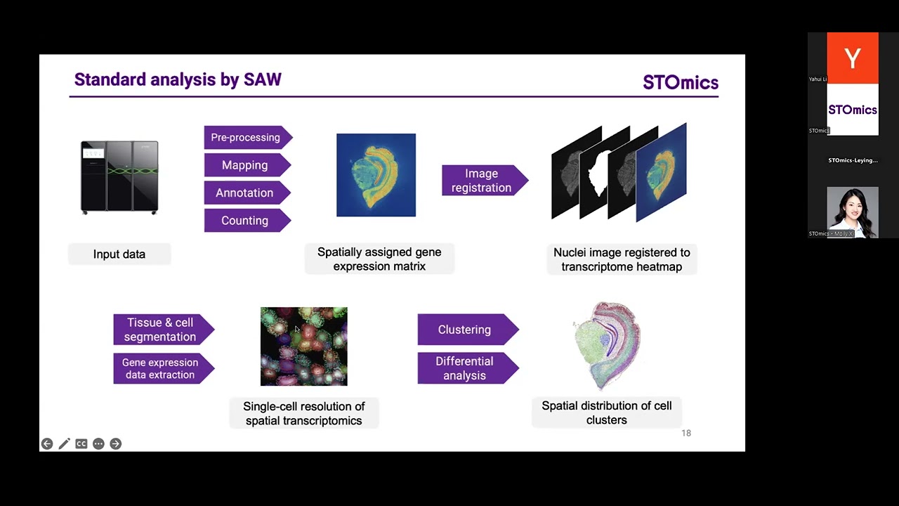 Stereo-seq webinar | Introduction to Stereo seq Transcriptome Data Analysis