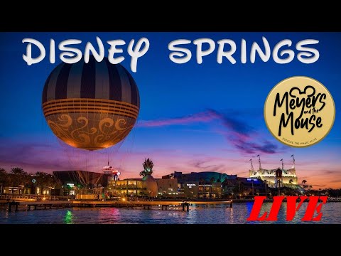 Disney Live Cams - The Best Disney WebCams on the Internet