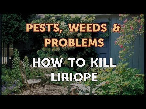 How to Kill Liriope