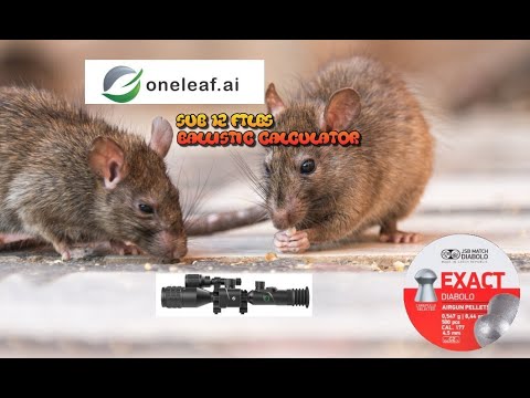 Commander NV400 4-52X 4K Digital Day/Night Vision Riflescope | OneLeaf.ai