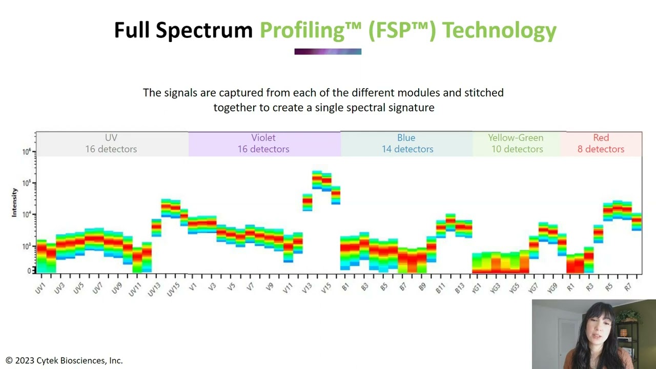 Building Panels for Flow Cytometry: Key Steps to Success