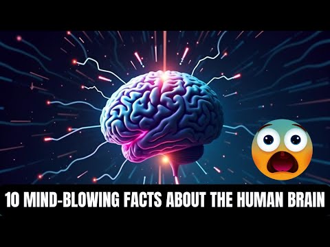 10 Mind-Blowing Facts About the Human Brain