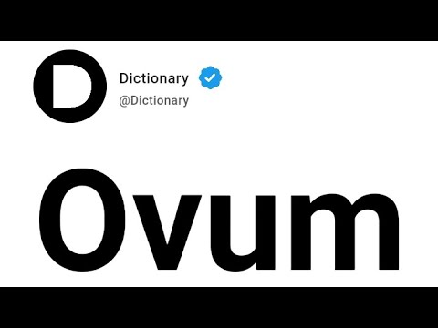Ovum Meaning In English