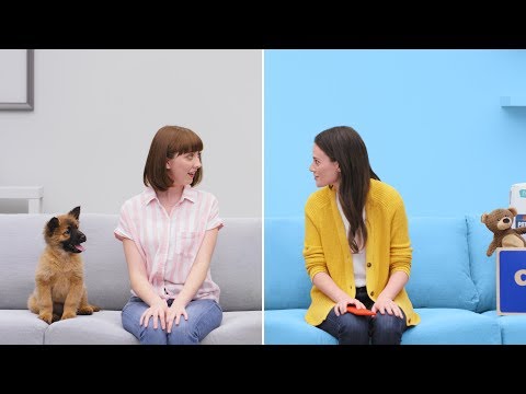 Color Your World | Chewy