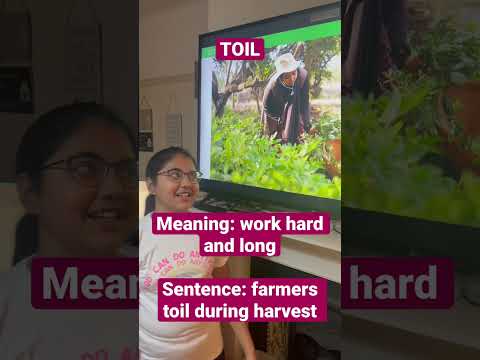 TOIL (meaning: work hard and long)