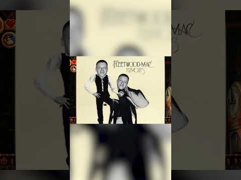 what the Mac is short for in Fleetwood Mac... #fleetwoodmac #donkeykong #thechain #dkcr
