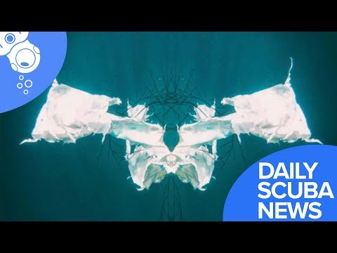 Daily Scuba News - Freediving Photographer Takes Unsettling Images