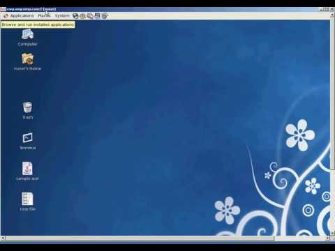 remote desktop into Linux Servers using Real VNC