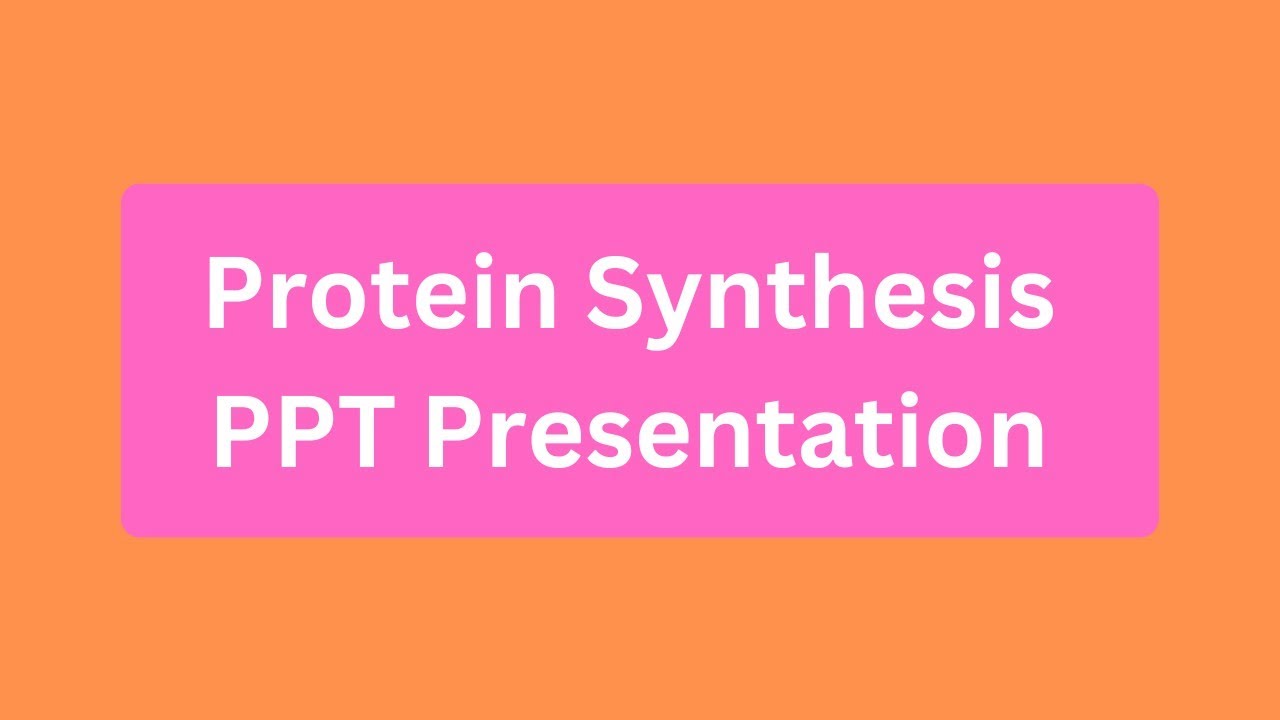 Protein Synthesis PPT Presentation Seminar Download: Steps and Translation