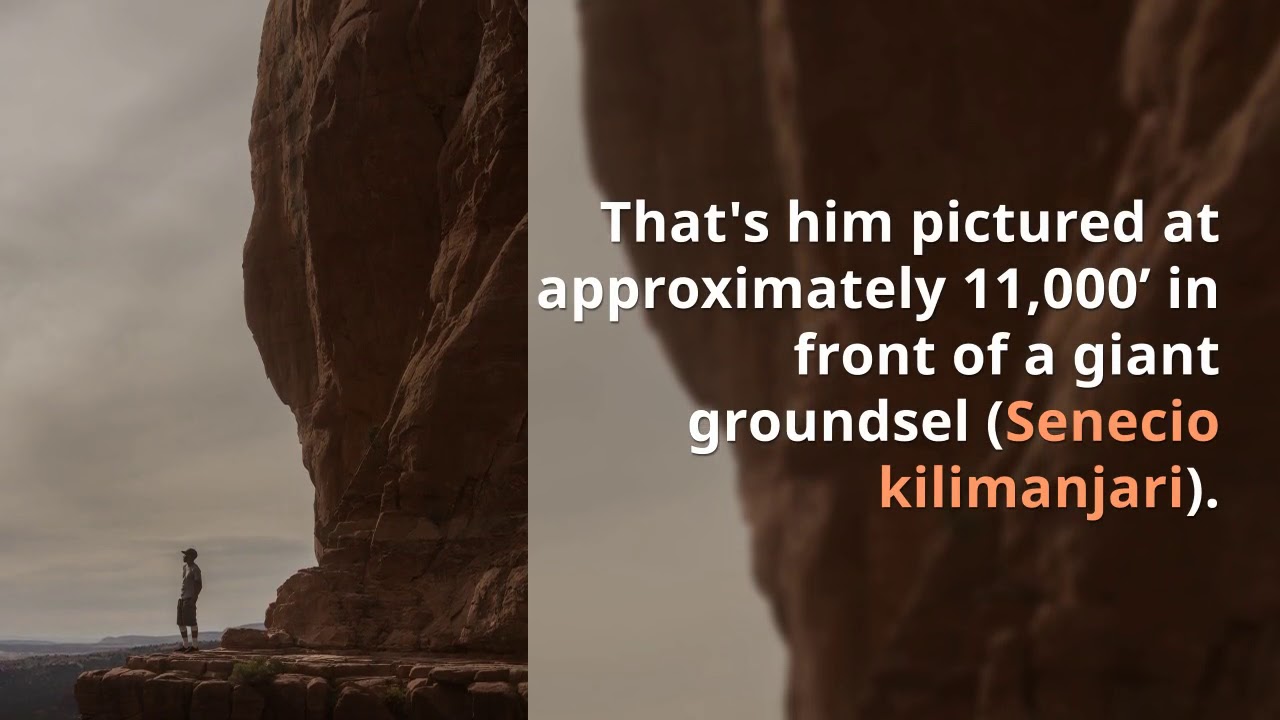 Meet a Silver Spring Landscaper | Maryland Landscaping