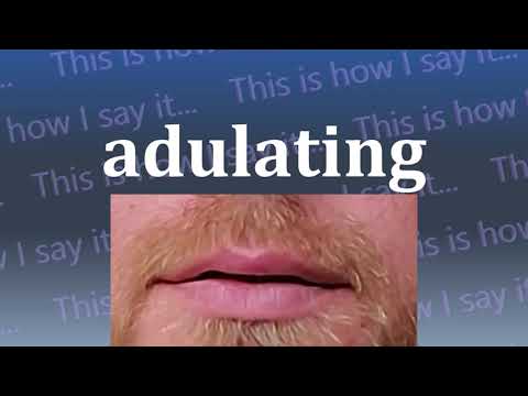 This is How I Say...adulation
