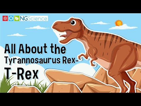 All About the Tyrannosaurus Rex - T-Rex