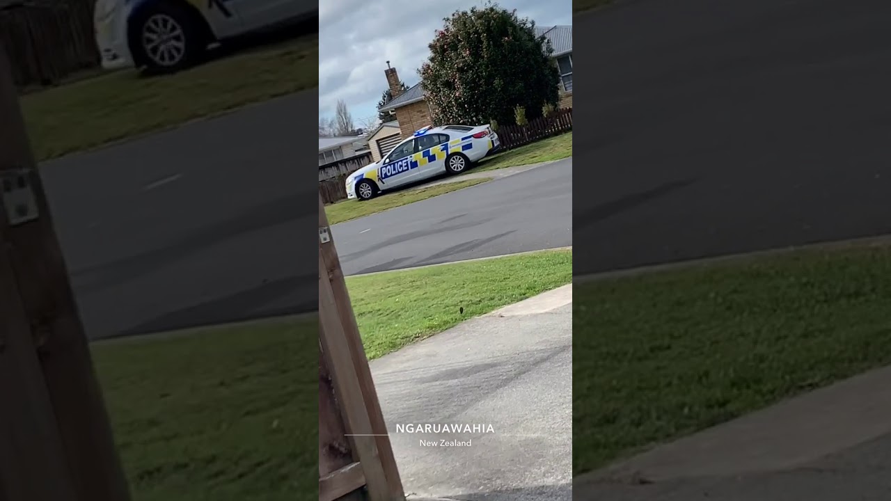New Zealand Cops Deliver the Most Thrilling Pursuit Ever. Of a Golf ...