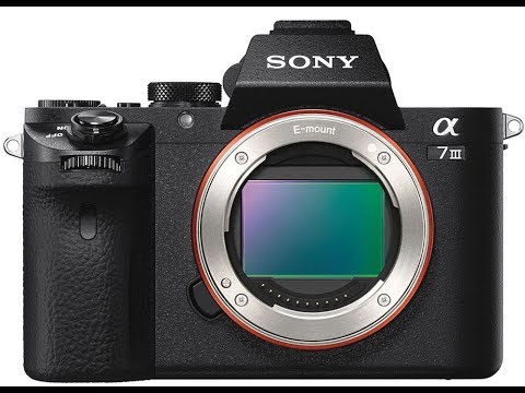 Sony A7II €949 - Buy It Or Get A7III?