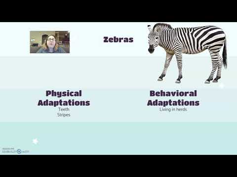 behavioral adaptations
