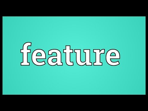 Feature Meaning