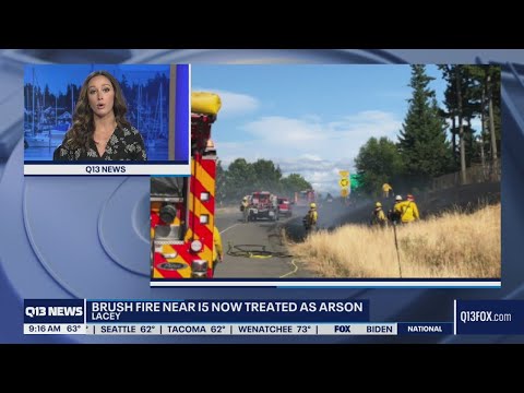Man arrested for arson after brush fire along I-5 in Lacey | Q13 FOX Seattle