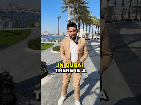Why people in dubai all become real estate agents #dubai #dubairealestate #dubairealtor #realtorduba