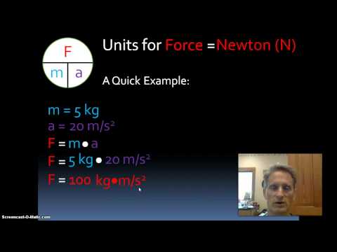 What's in a Newton?