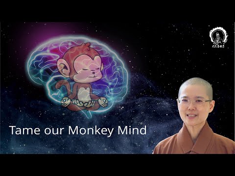 How to Train Our Monkey Mind | Simple Method to Tame Busy Mind | Ven. Master Miao Jing | 調伏煩亂心 妙淨法師