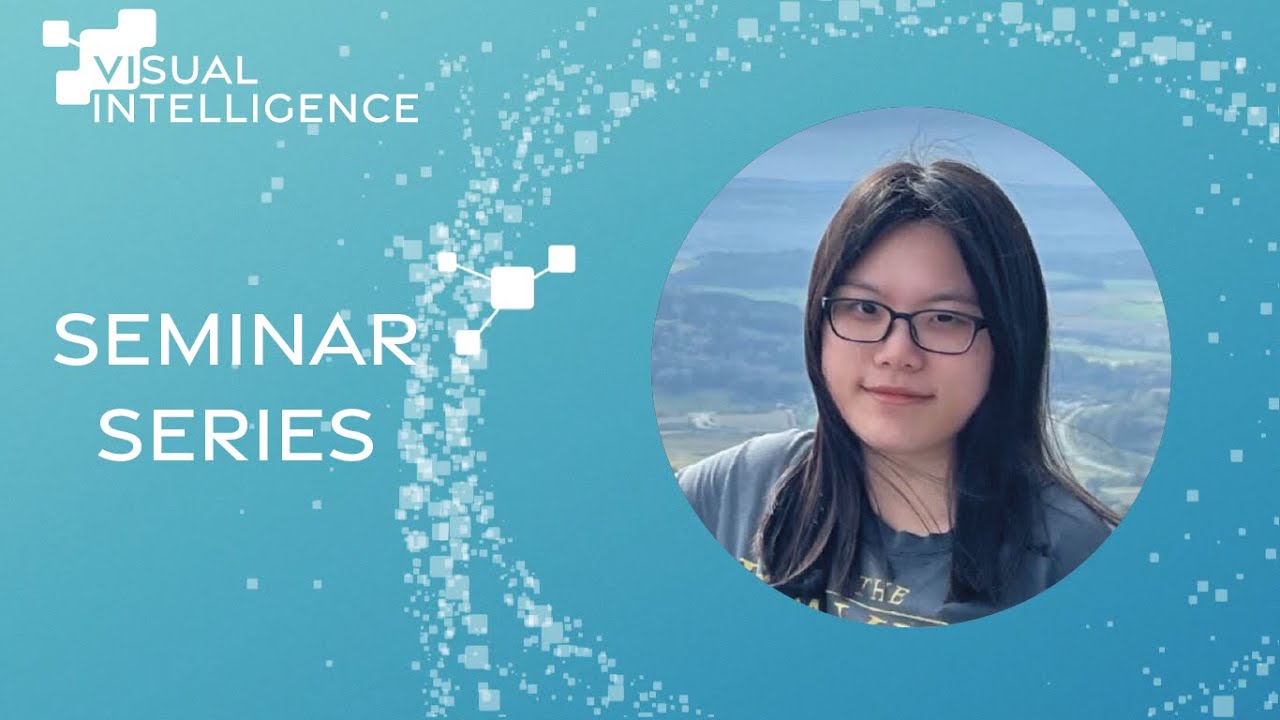 Diffusion Model Meets XAI: Counterfactual Generation for Model Debugging: Nina Weng (DTU)