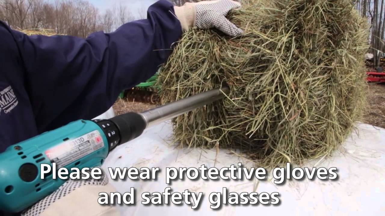 How To Test Forage Quality