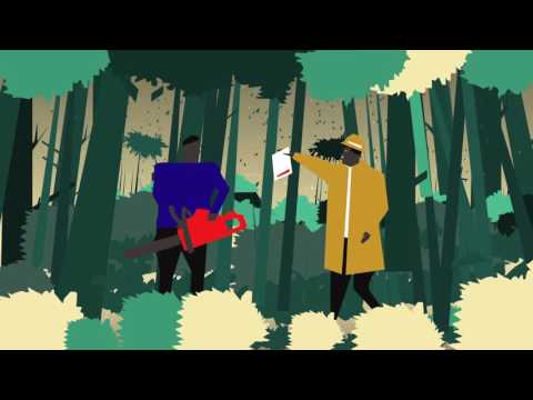 What is Forest Governance?