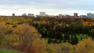 3 Best Public Parks in Edmonton, AB - Expert Recommendations