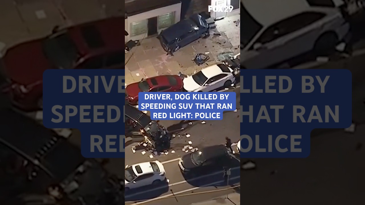Driver, dog killed by speeding SUV that ran red light in West Philadelphia: police