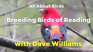 All About Birds: Breeding Birds Of Reading - book-news.org