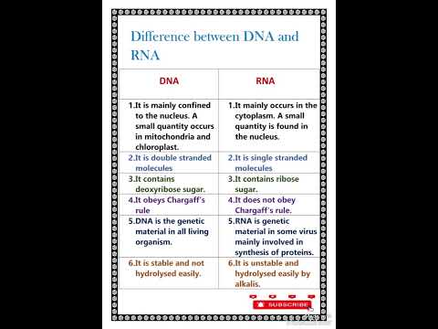 Difference between DNA and RNA