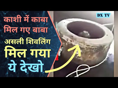 Gyanvapi Masjid में मिला शिवलिंग | भगवान शिव, अब काशी में भी बनेगा भव्य मंदिर Video DX TV #Shorts
